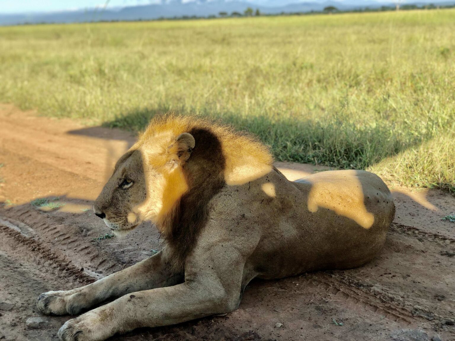 Mikumi National Park - Mikumi Holiday Safaris