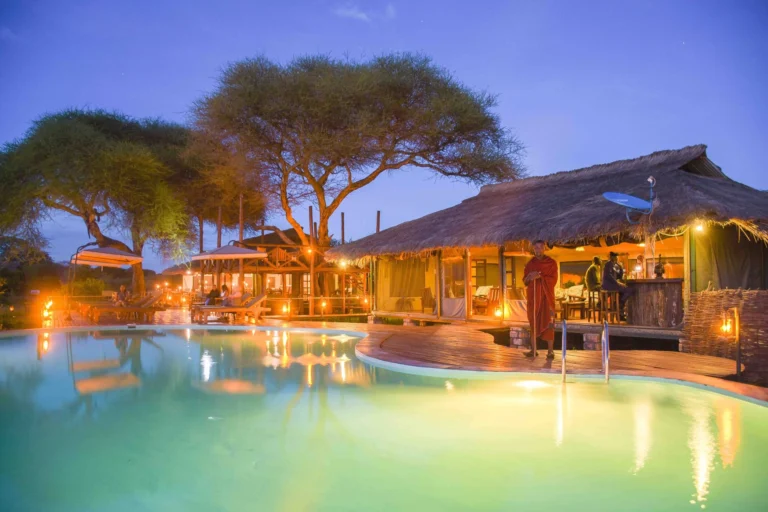 Tarangire Simba Lodge | Mikumi Holiday Safaris